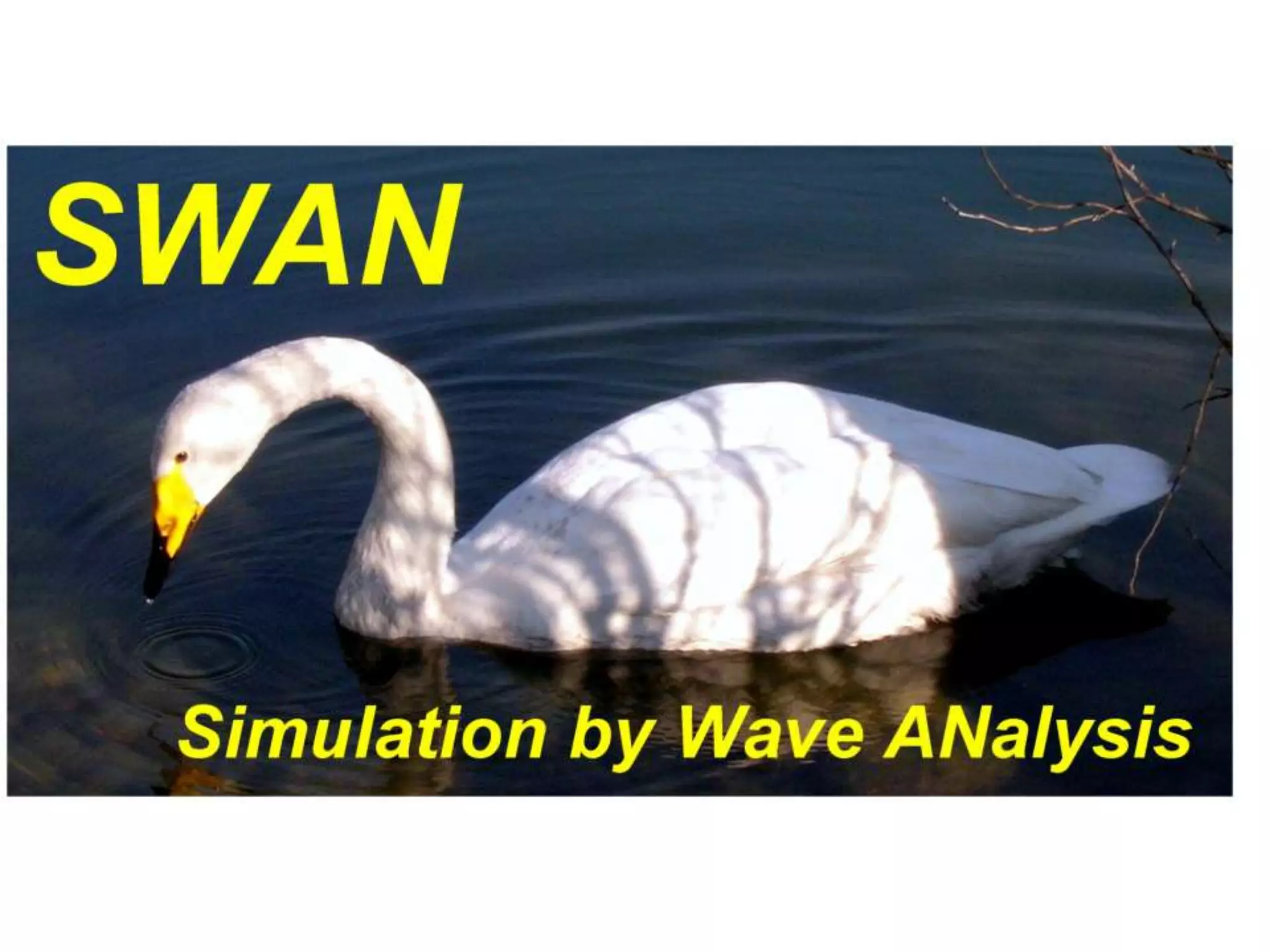 The SWAN Project | PPTX