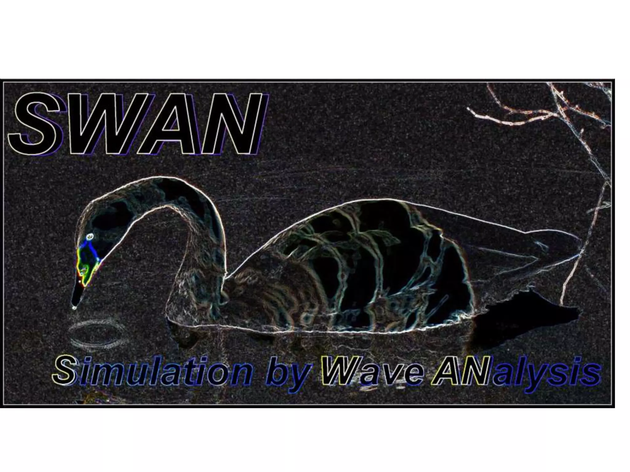 The SWAN Project | PPTX