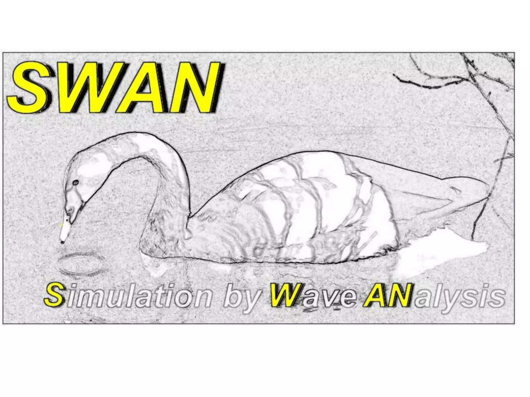 The SWAN Project | PPTX