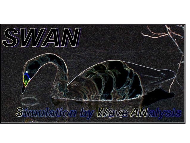 The SWAN Project | PPTX