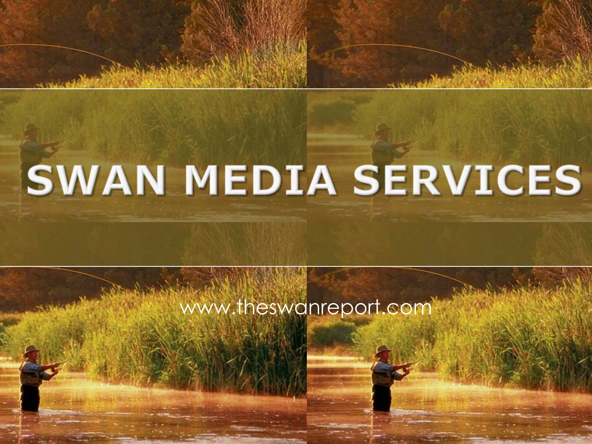 The Swan Report | PPTX