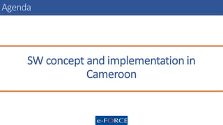 The single form for foreign trade operators - GUCE GIE - Cameroon | PDF