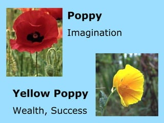 The symbolism of flowers | PPT