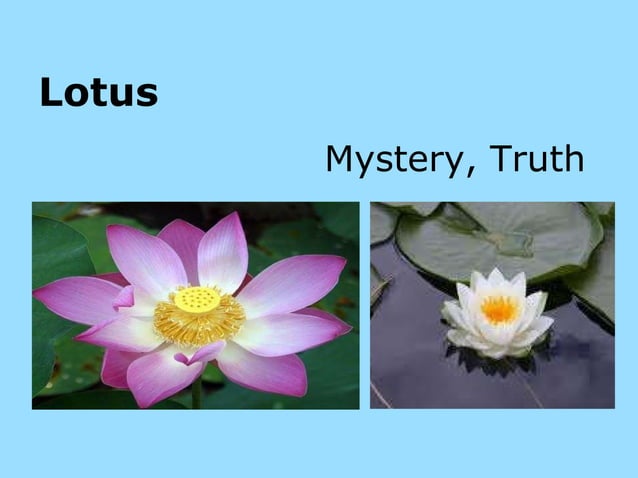 The symbolism of flowers | PPT