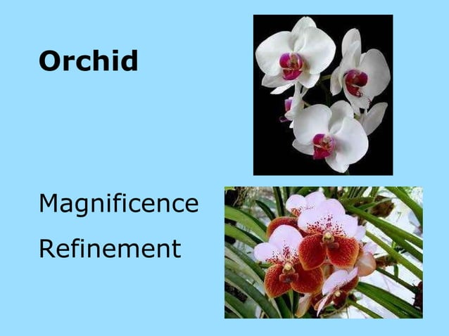 The symbolism of flowers | PPT