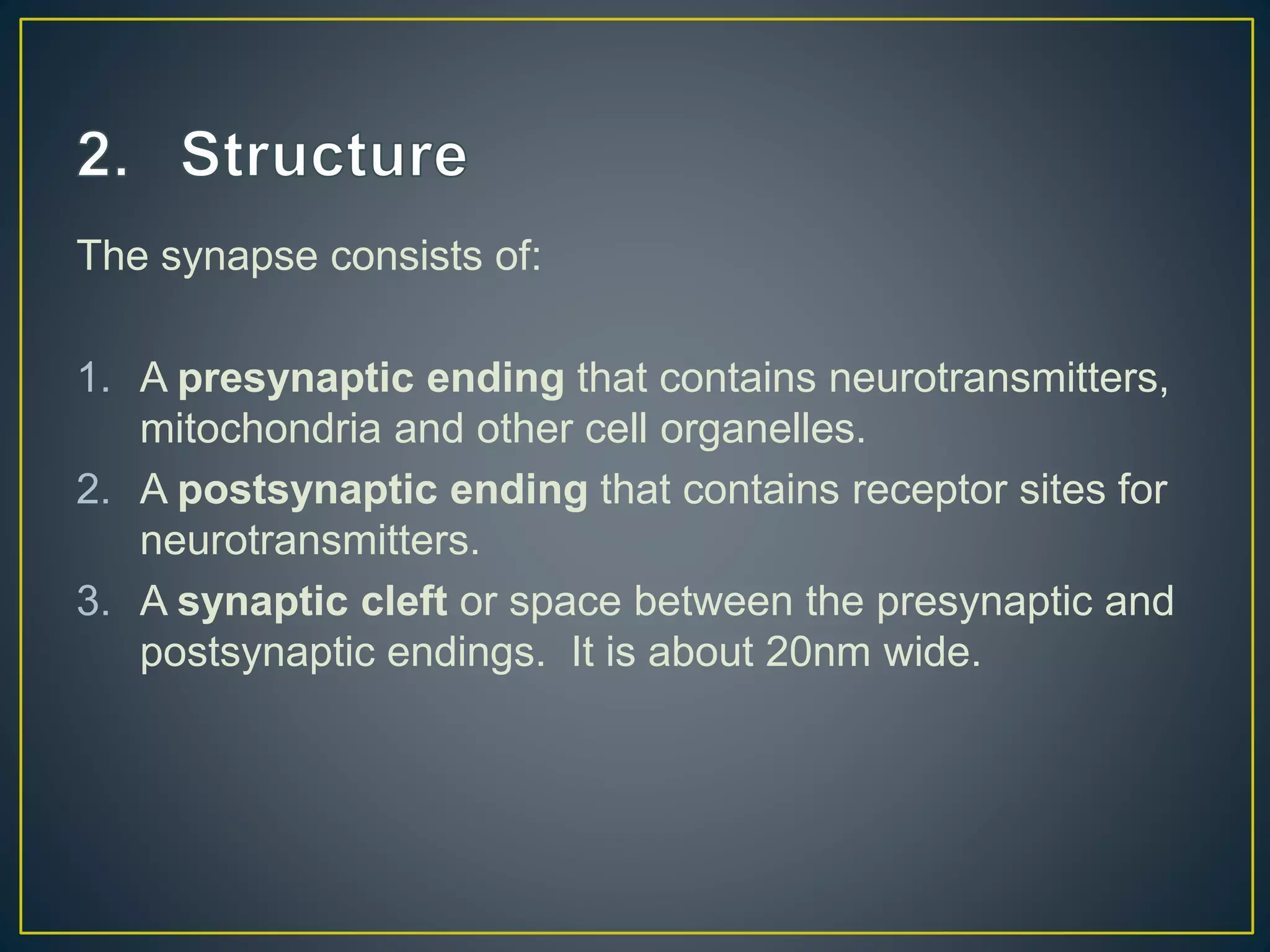 The synapse | PPTX