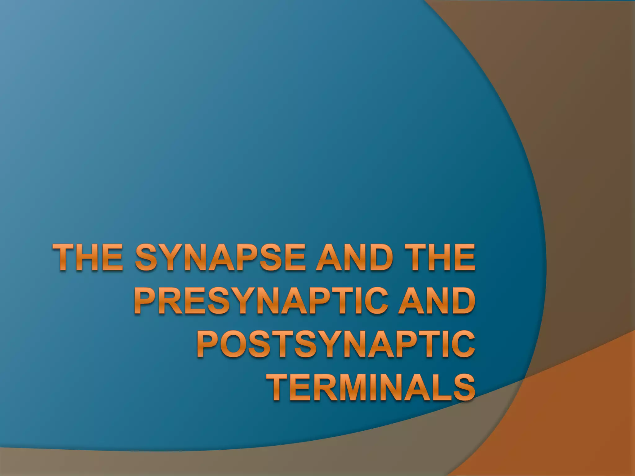 The Synapse And The Presynaptic And Postsynaptic Terminals | PPTX