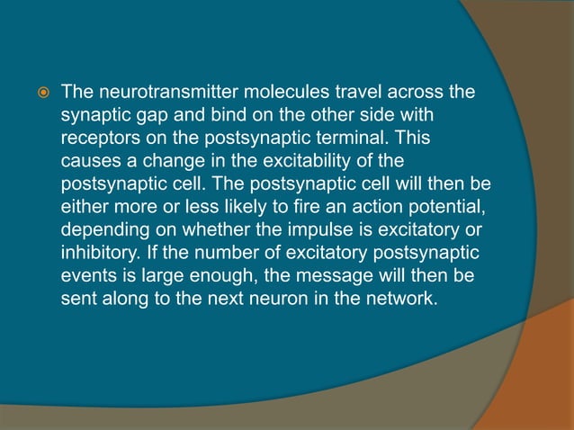 The Synapse And The Presynaptic And Postsynaptic Terminals | PPT
