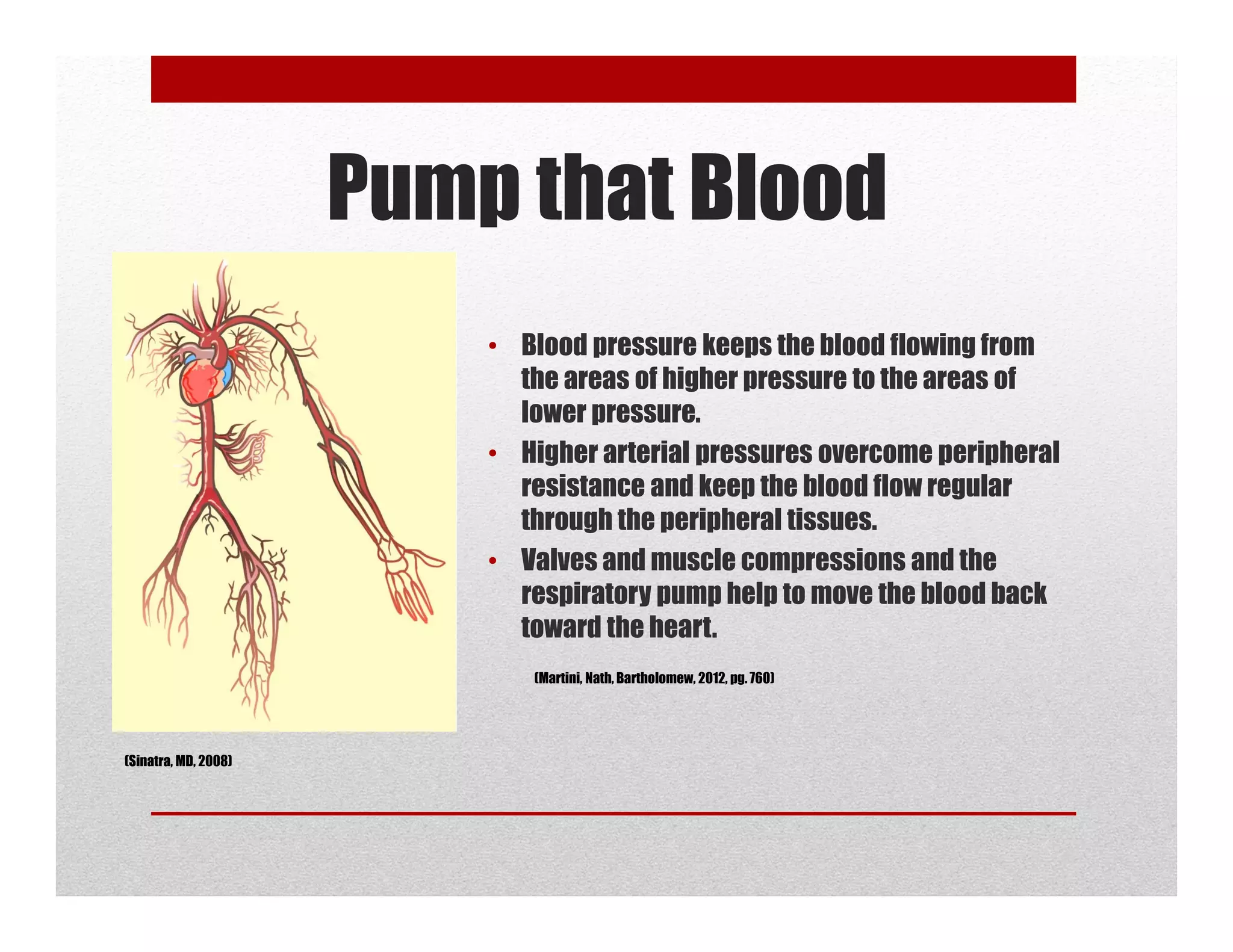 The Systemic Circuit | PDF