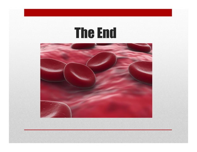 The Systemic Circuit Ppt