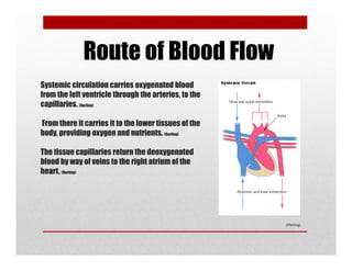 The Systemic Circuit | PPT