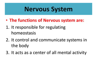 The systems of human body | PPTX