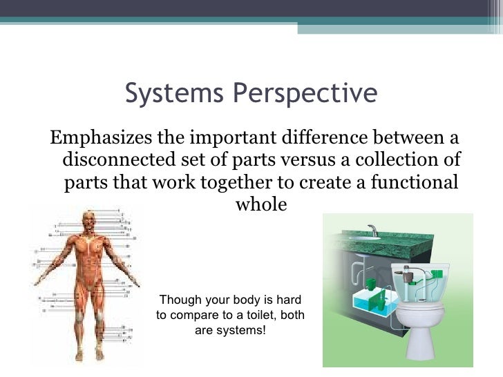 The Systems Perspective