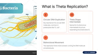 Theta-Mode-of-DNA-Replication-Understanding-Circular Molecular biology ...