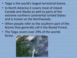 The taiga 2 | PPTX