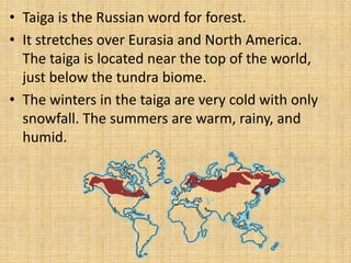 The taiga 2 | PPTX