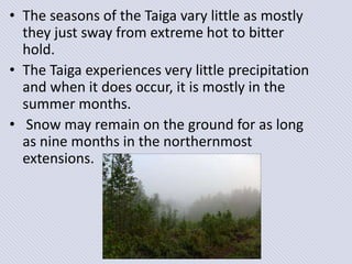 The taiga 2 | PPTX