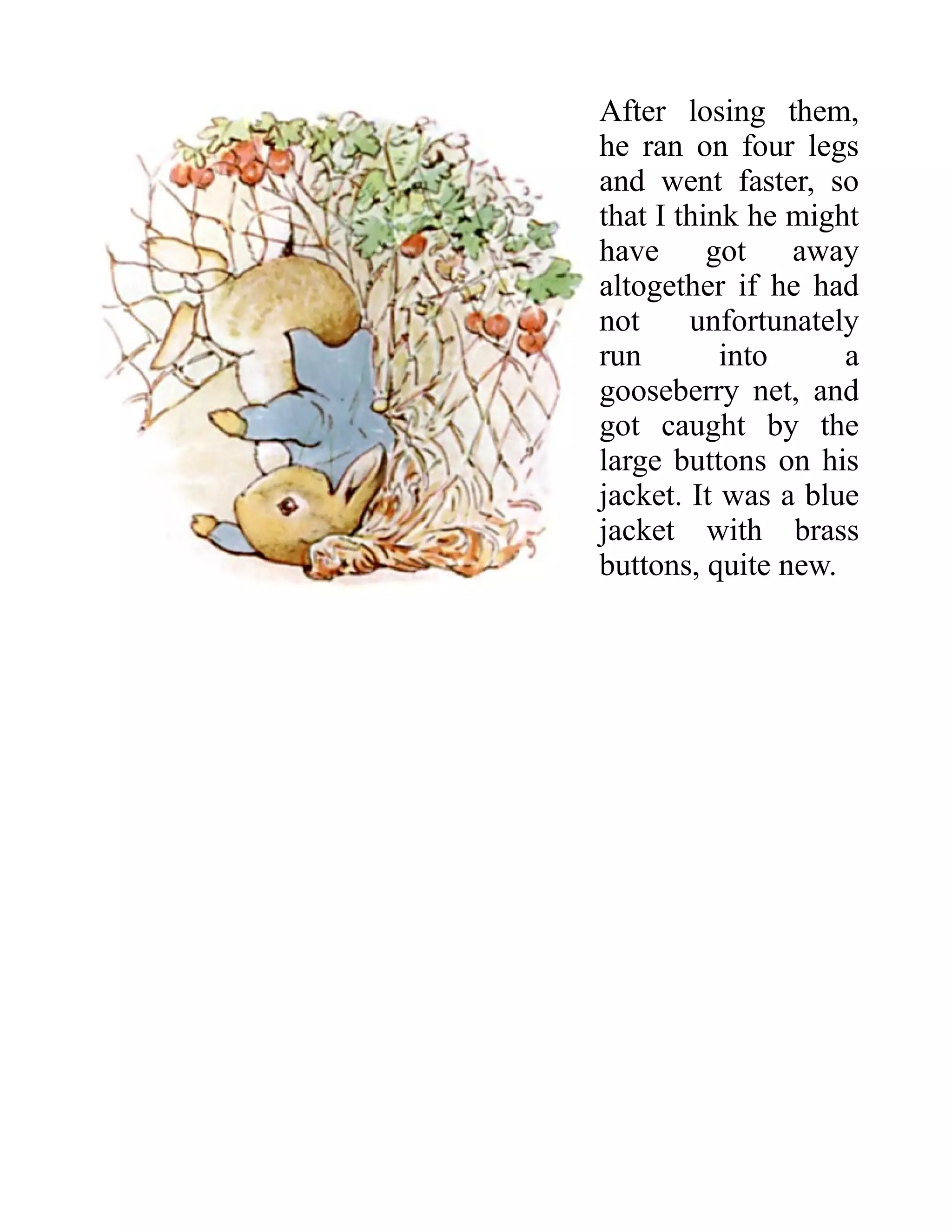 The Tale of Peter Rabbit | PDF