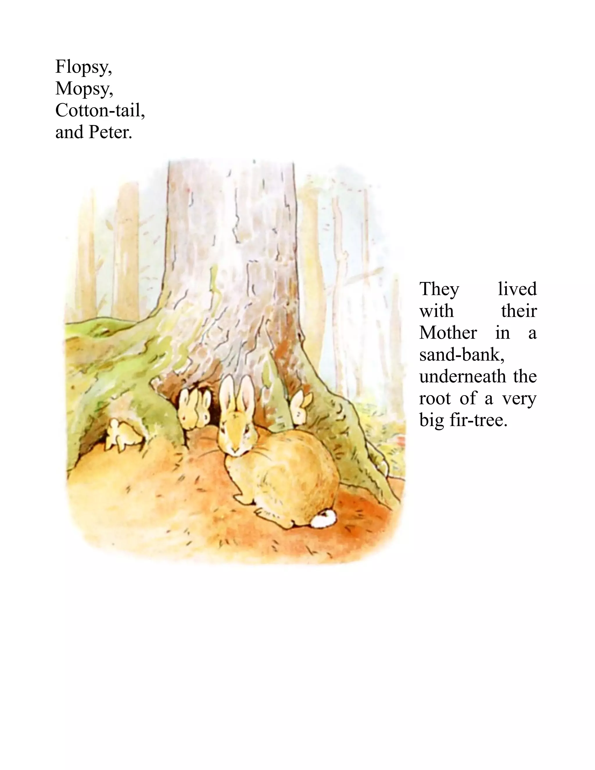 The Tale of Peter Rabbit | PDF