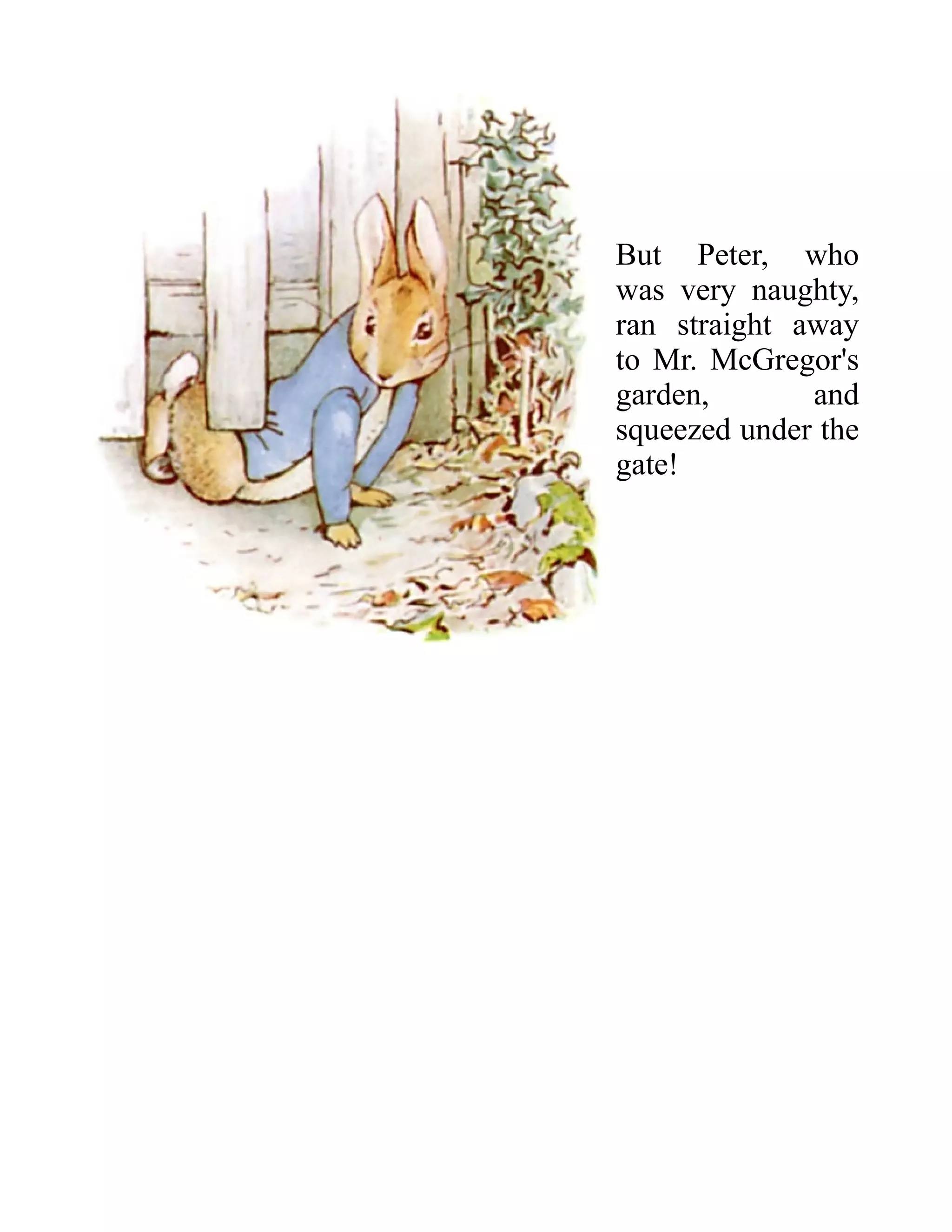 The Tale of Peter Rabbit | PDF