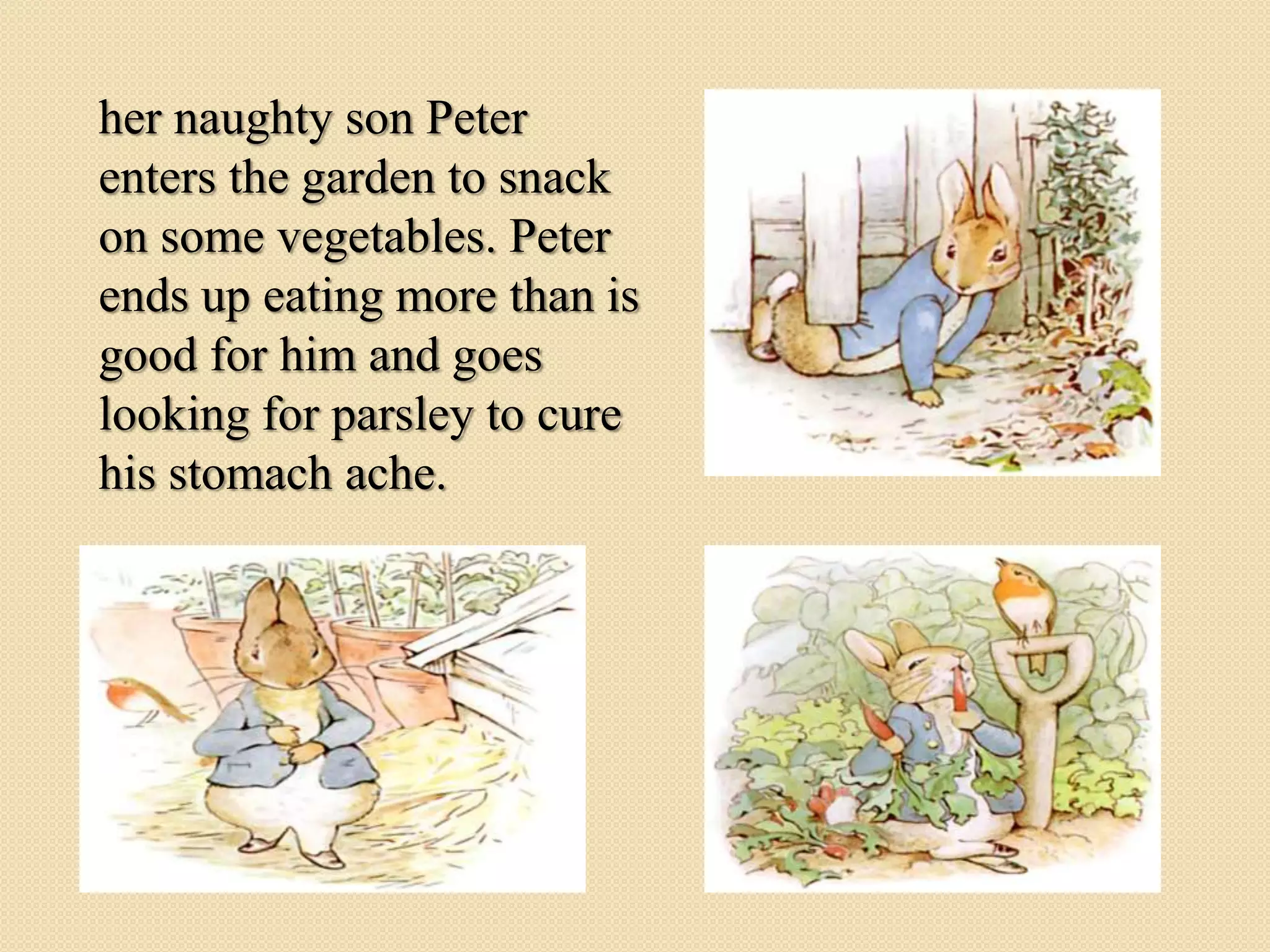 The tale of peter rabbit | PPTX