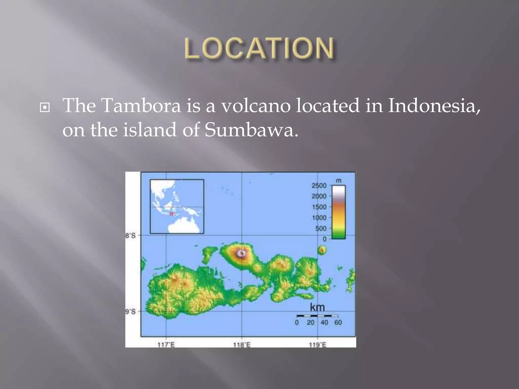 THE TAMBORA | PPTX