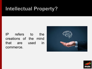 Intellectual Property Rights | PPTX