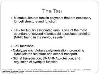 The Tauopathies.pptx