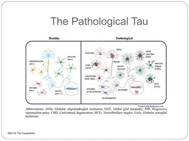 The Tauopathies.pptx