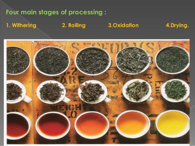 The Tea: The production process