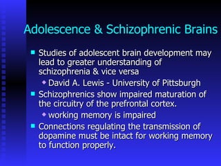 The Teenage Brain | PPT