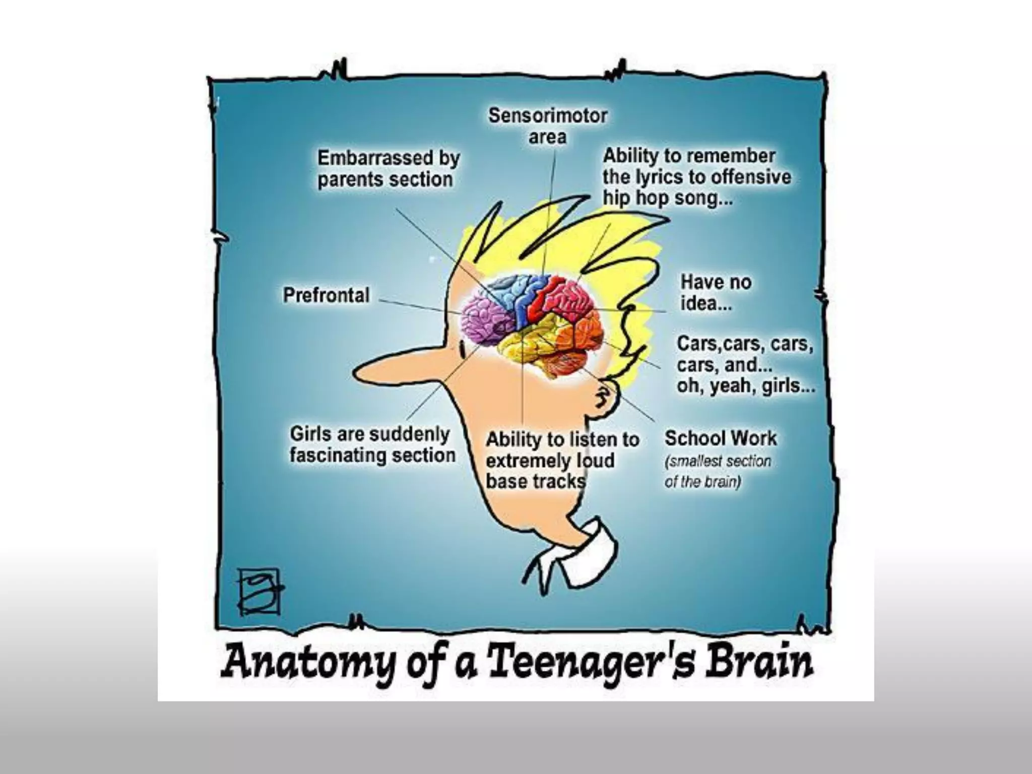 The Teenage Brain | PDF