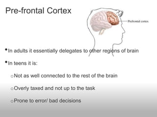 The Teenage Brain | PDF
