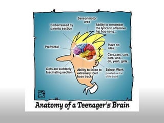 The Teenage Brain | PDF