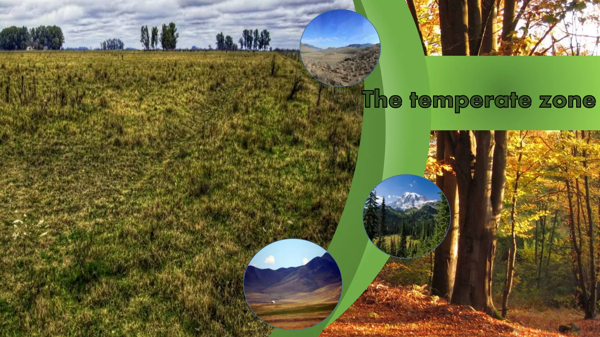The temperate zone | PPTX
