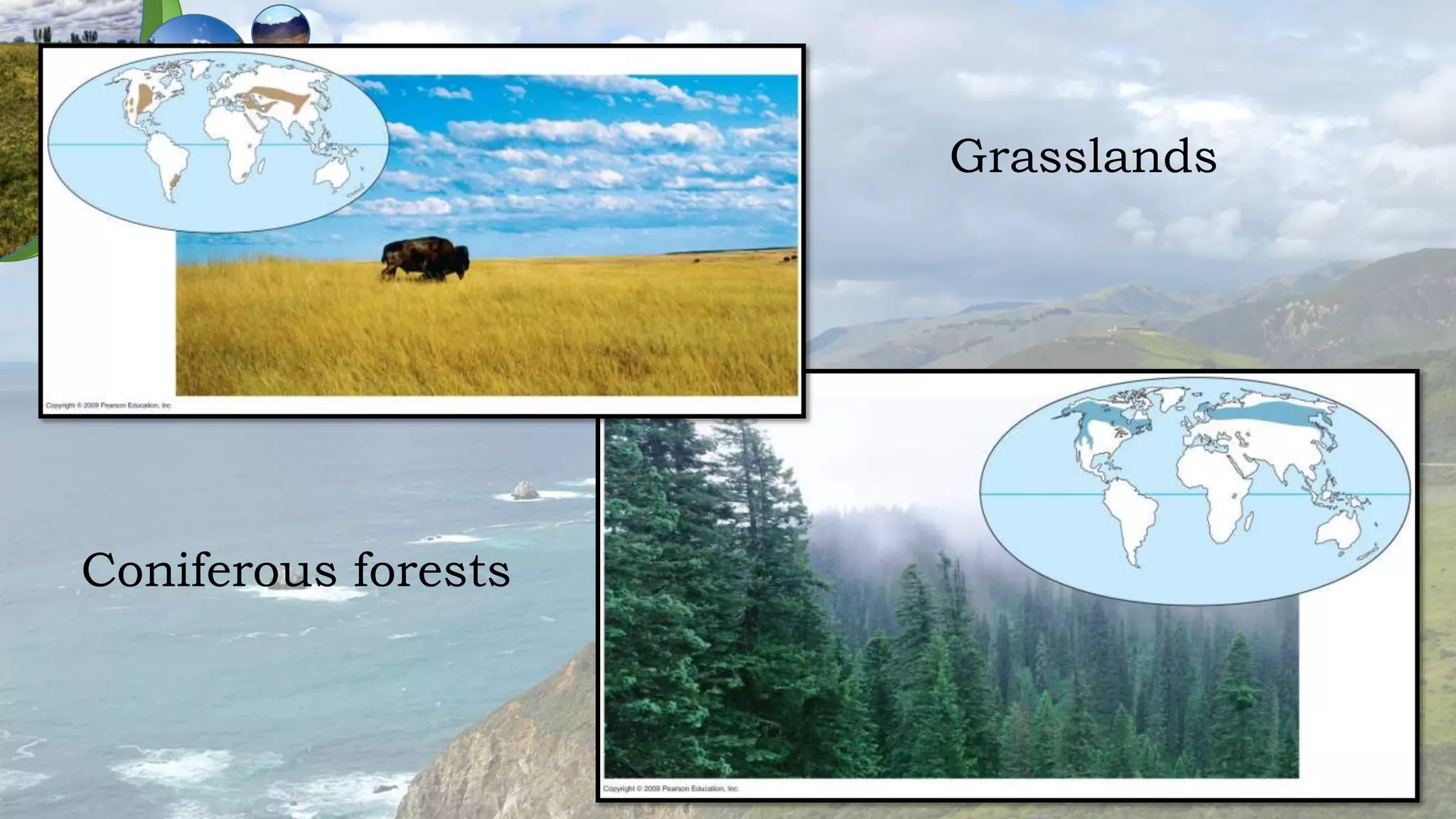 The temperate zone | PPTX