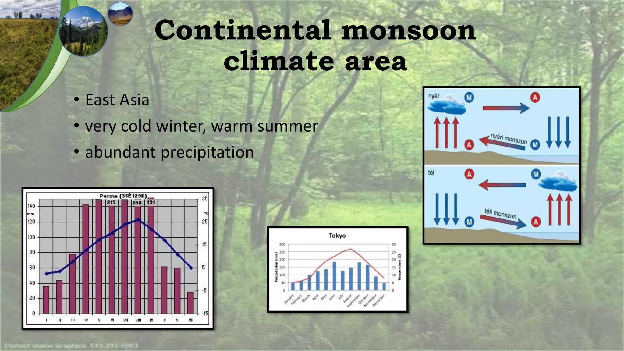 The temperate zone | PPTX