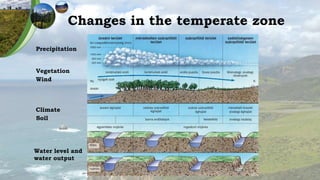 The temperate zone | PPTX