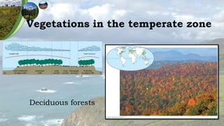 The temperate zone | PPTX