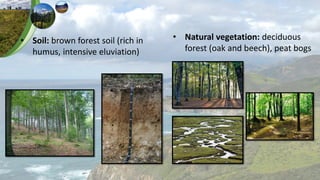 The temperate zone | PPTX
