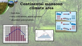The temperate zone | PPTX