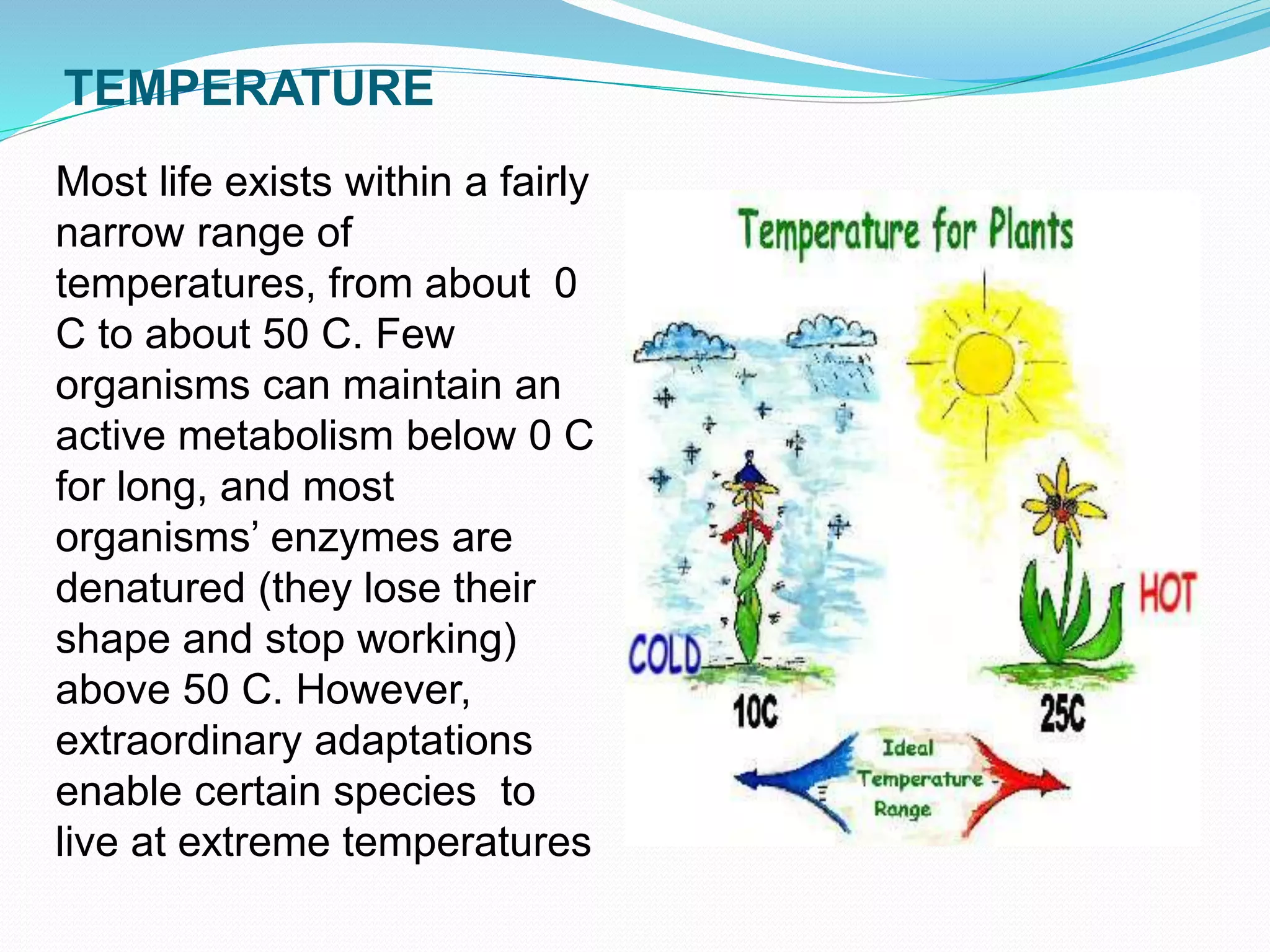 The terrestrial habitat | PPTX