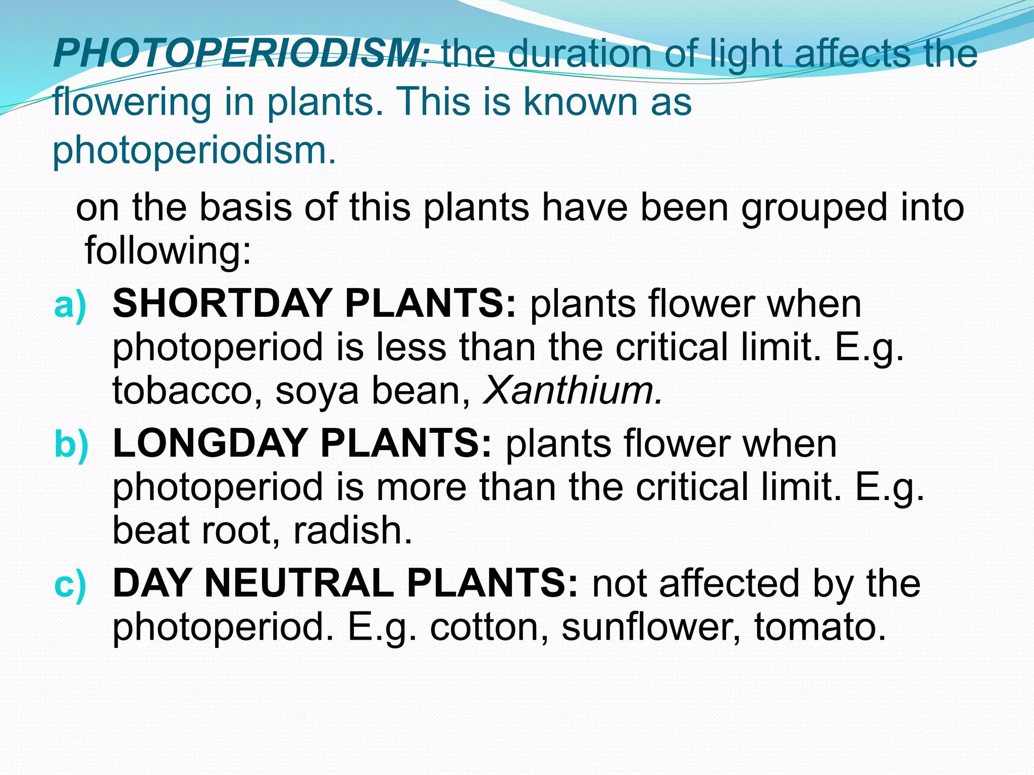 The terrestrial habitat | PPTX