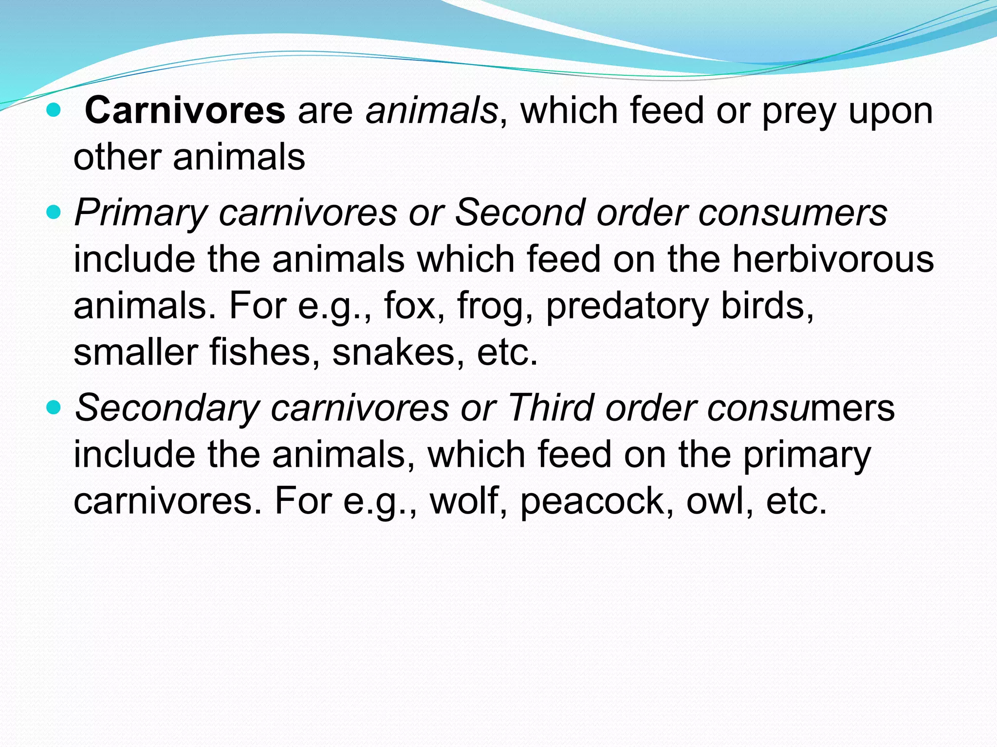 The terrestrial habitat | PPTX