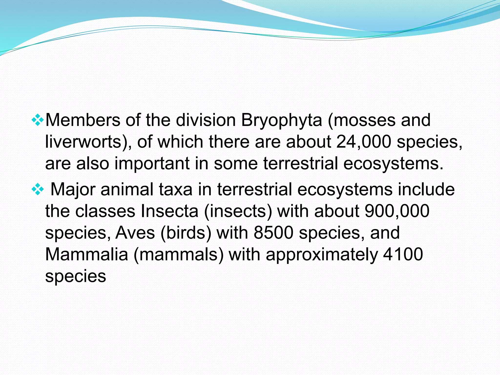 The terrestrial habitat | PPTX