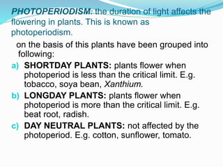 The terrestrial habitat | PPTX