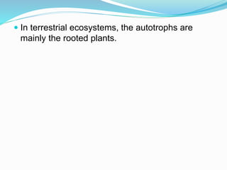 The terrestrial habitat | PPTX