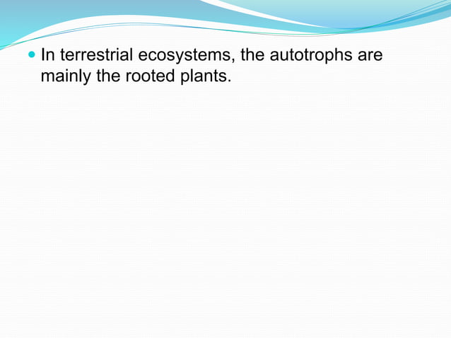 The terrestrial habitat | PPTX | Gardening | Home & Garden