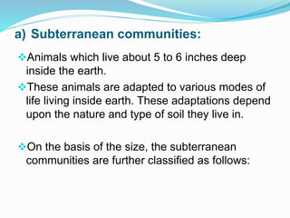 The terrestrial habitat | PPTX