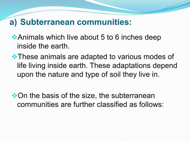 The terrestrial habitat | PPTX | Gardening | Home & Garden